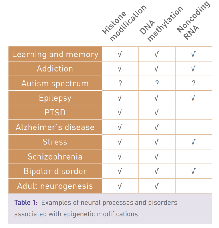 Epigenetic tools for disease research - City-Lab : City-Lab