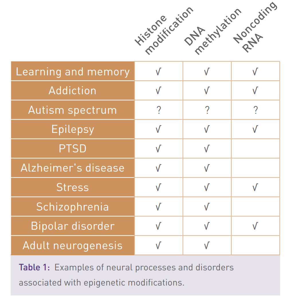 Epigenetic tools for disease research - City-Lab : City-Lab